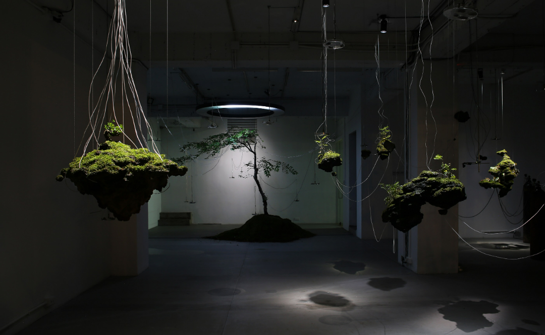 Index｜NCAF GRANTED PROJECT DATABASE